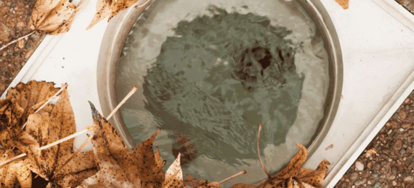Customer FAQ: Why Does My Pool Have No Water Flow? - Baracuda